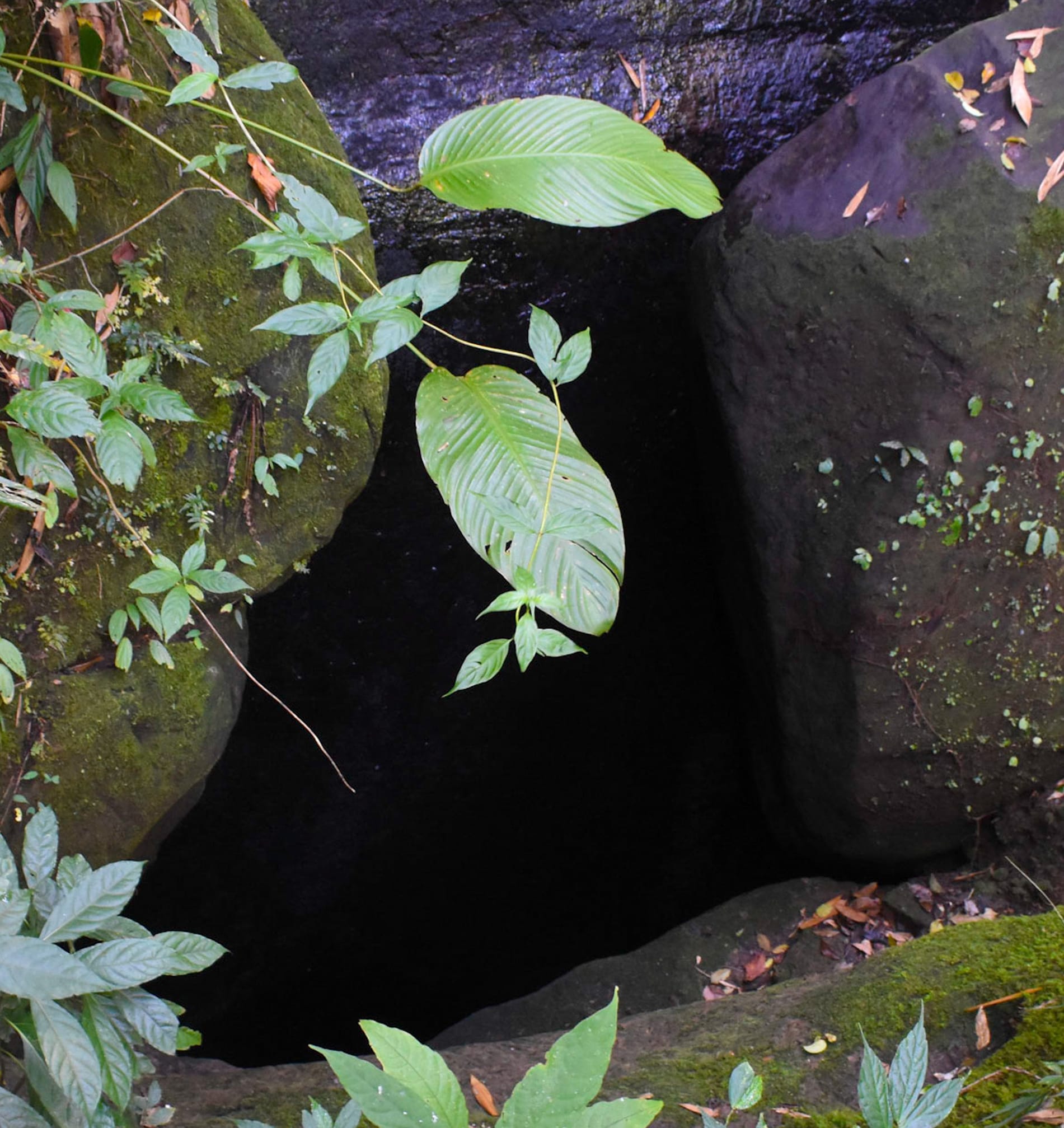 Mizoram Tourism