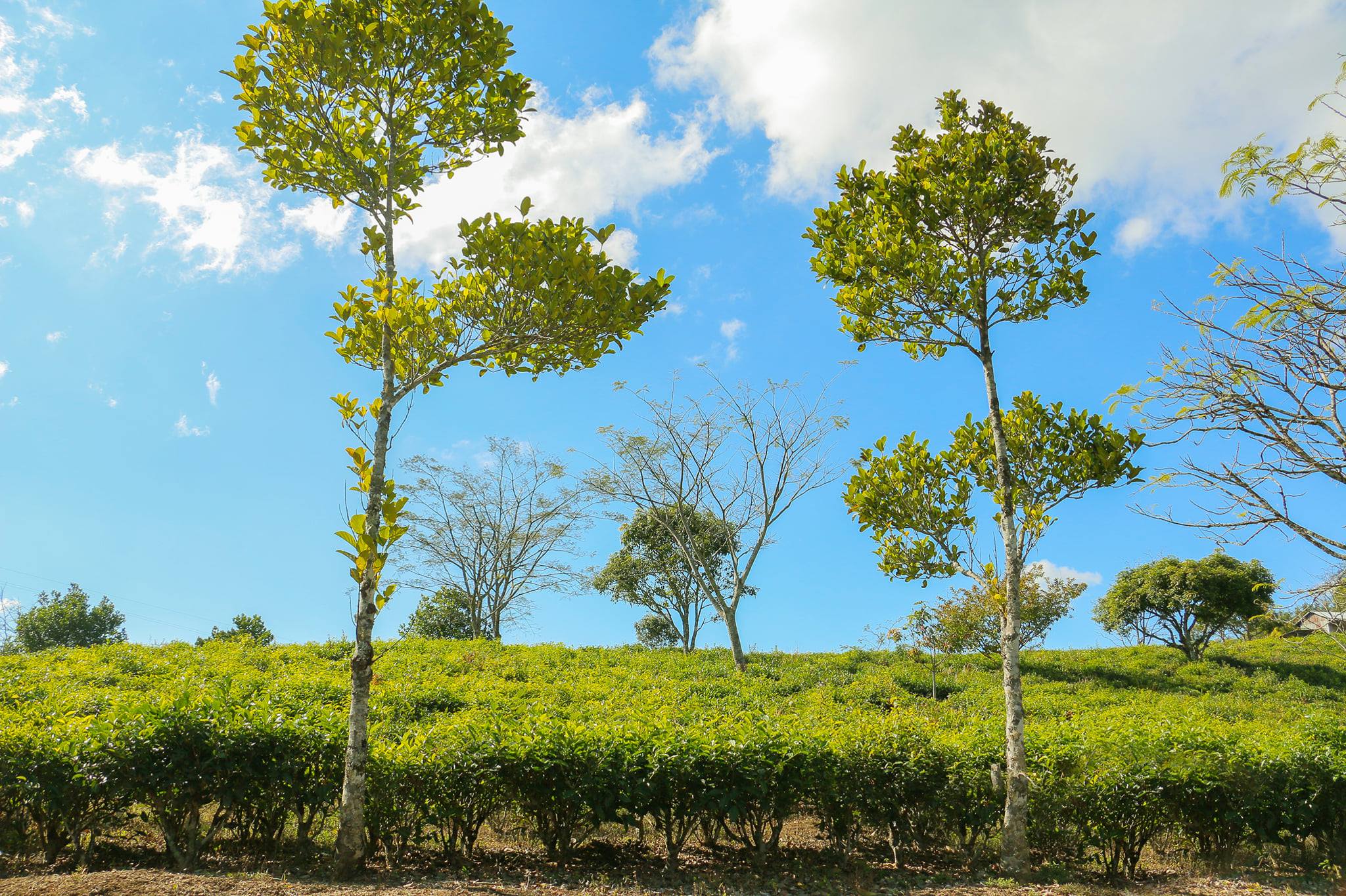 Mizoram Tourism